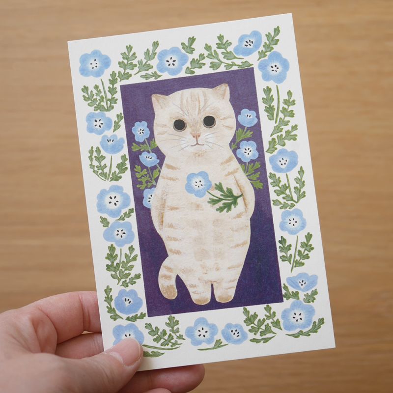 4legs Postcard - Cat #17 (Cream-coloured Cat) – Phavourite