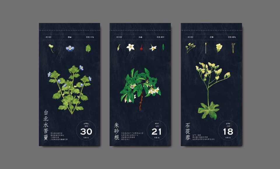 SEED Design 2021 365 days Flower Calendar – Phavourite